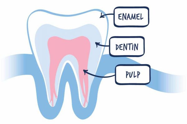 Endodontics - Robert Brennan, DDS